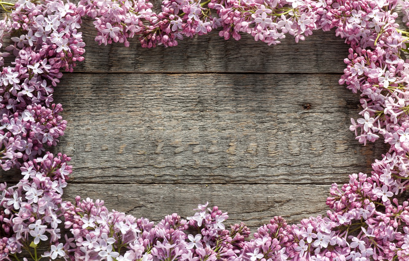 Spring Flower Computer Wallpapers - Wallpaper Cave