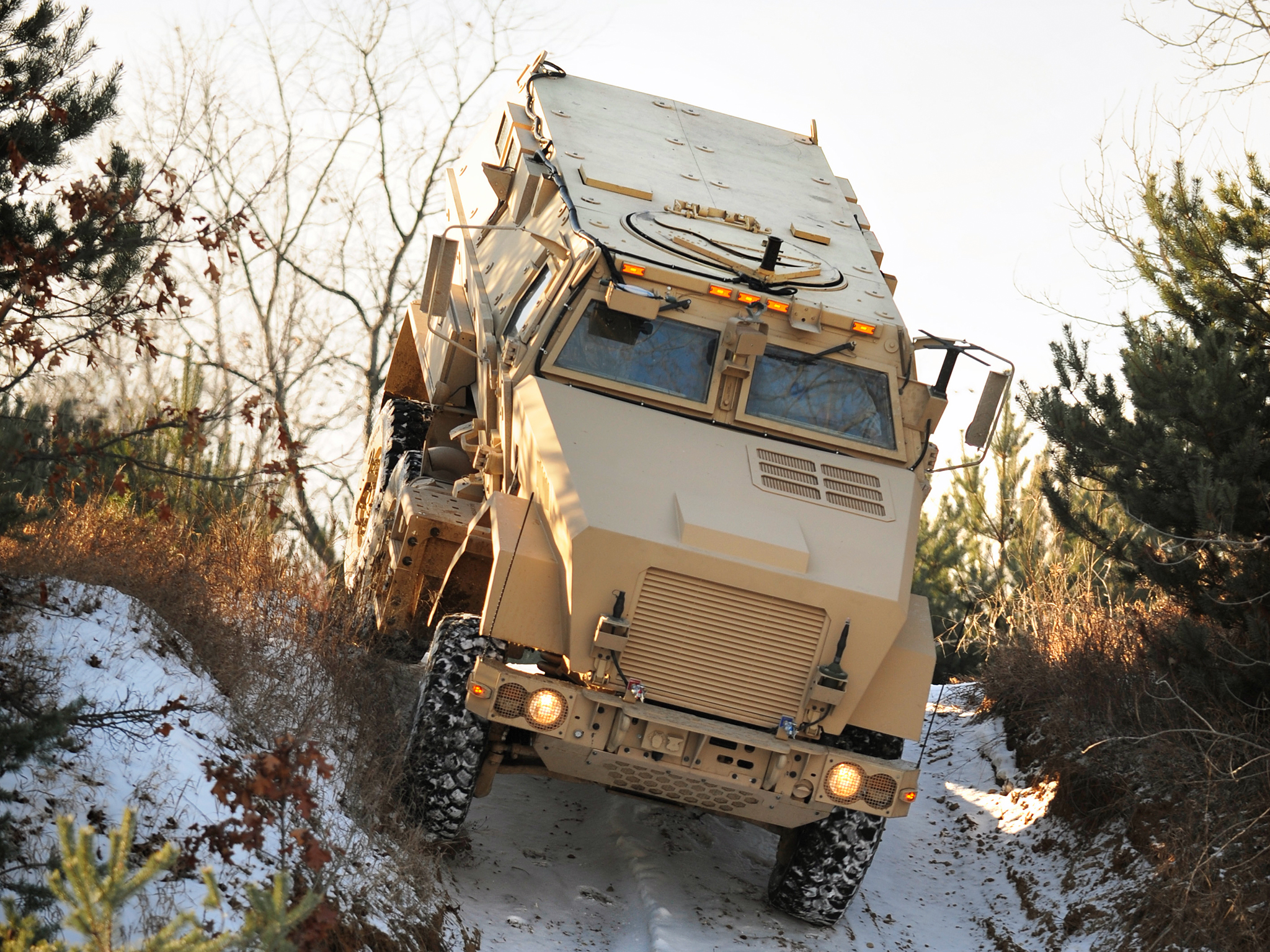 Caiman 6x6 Wallpapers - Wallpaper Cave