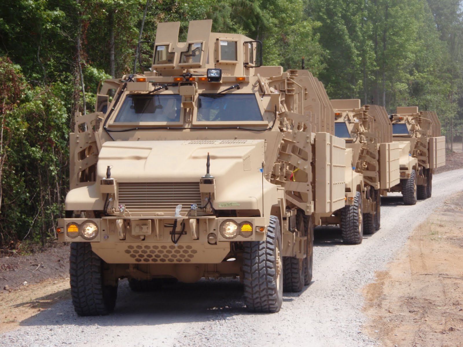 Caiman 6x6 Wallpapers - Wallpaper Cave