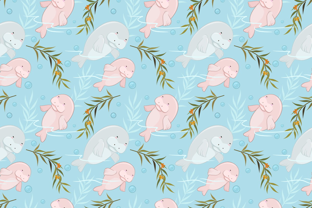 Sea Cow Wallpapers - Wallpaper Cave