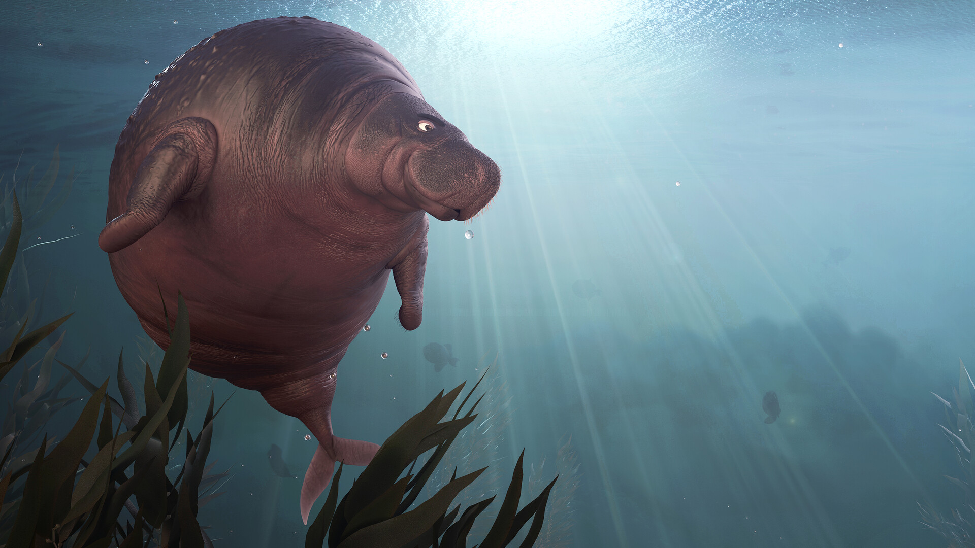 Sea Cow Wallpapers - Wallpaper Cave