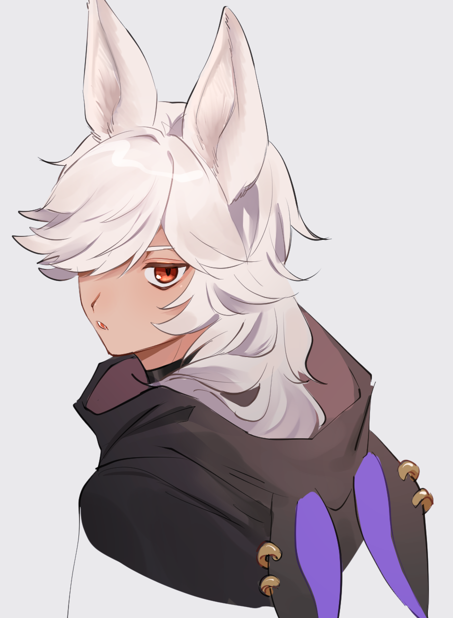 Cyno Wallpapers - Wallpaper Cave