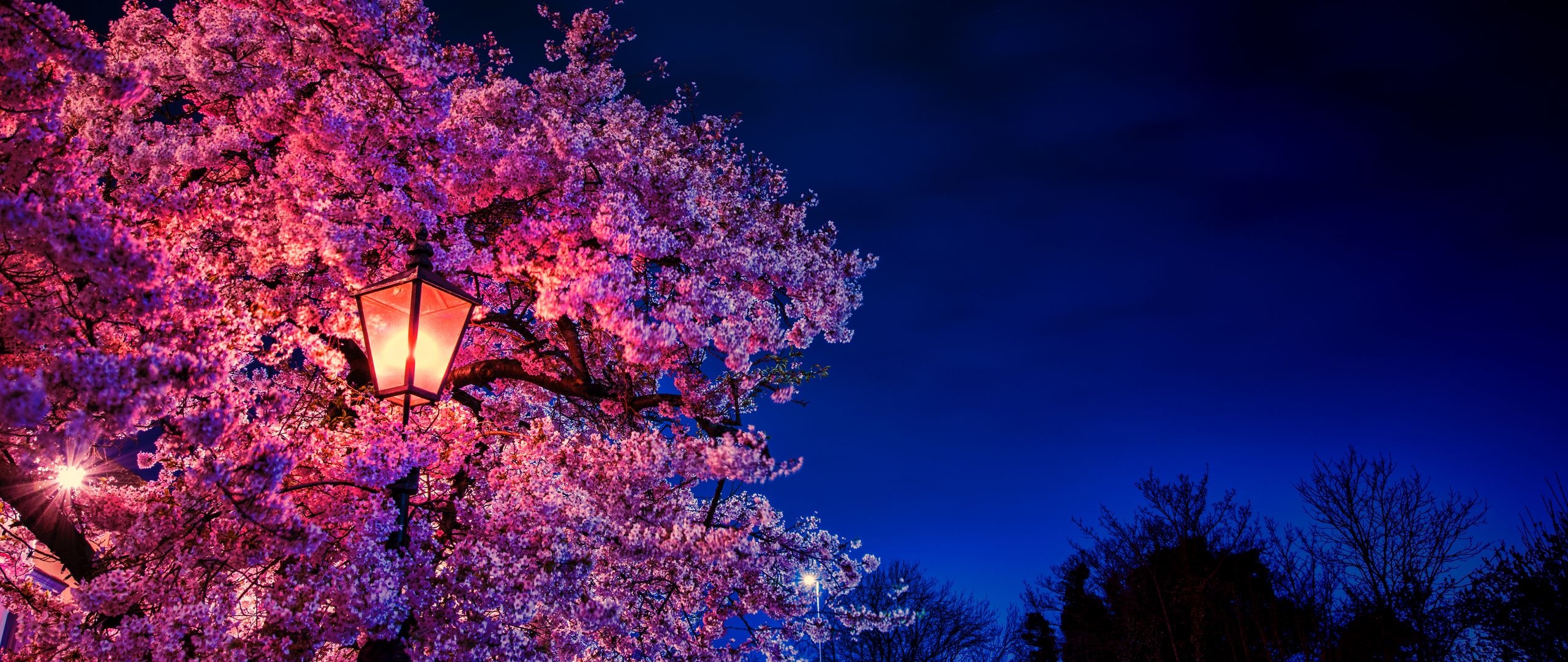 Wide Spring Wallpapers - Wallpaper Cave