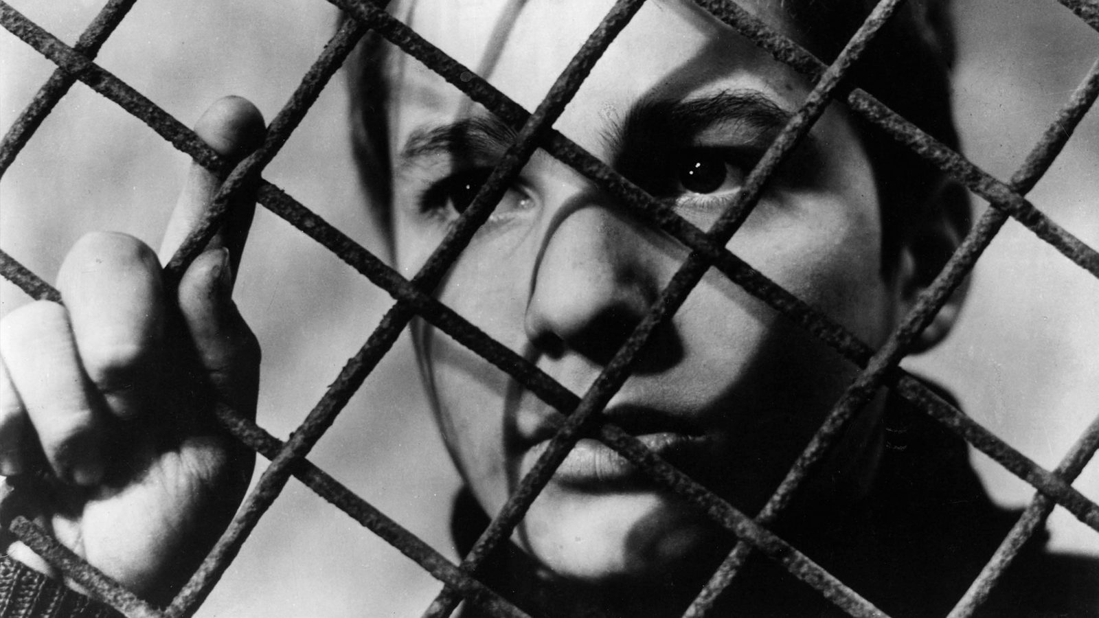 The 400 Blows Wallpapers - Wallpaper Cave
