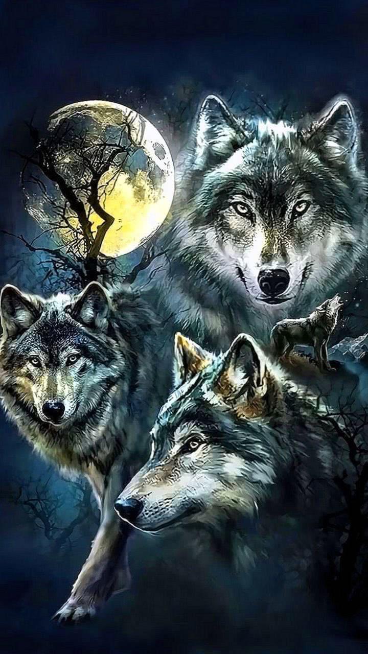 Fall Wolf Wallpapers - Wallpaper Cave