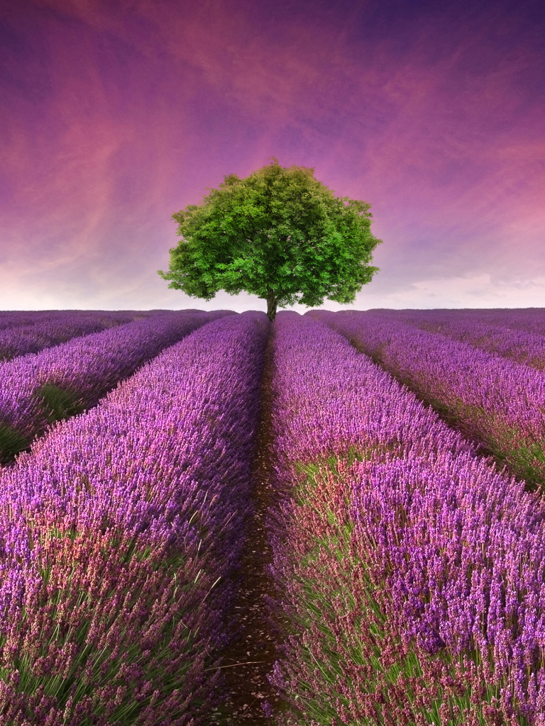 Essential Oils Wallpapers - Wallpaper Cave