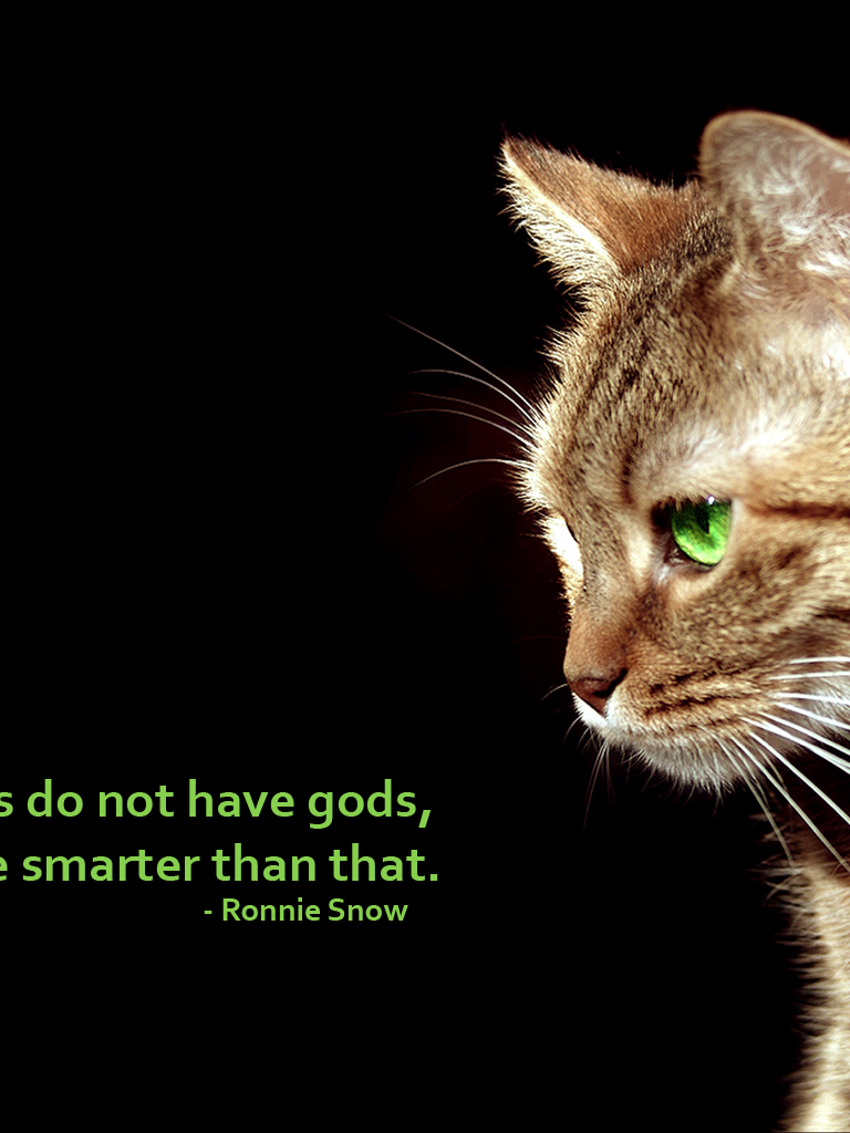 Animal Rights Wallpapers - Wallpaper Cave