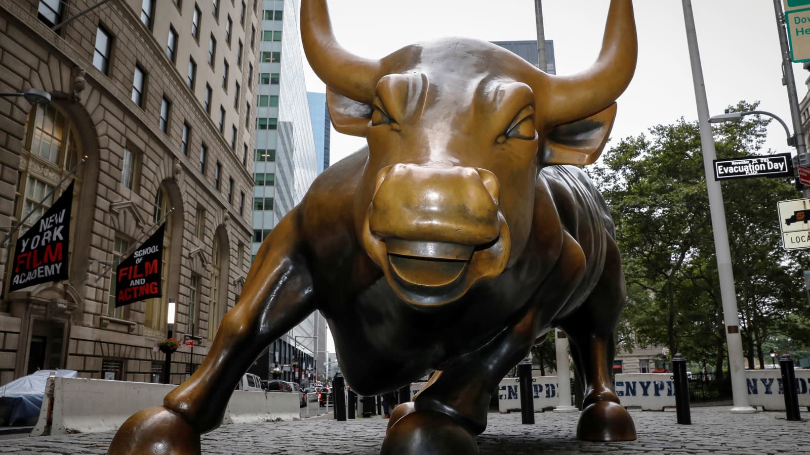 Stock Bull Wallpapers - Wallpaper Cave