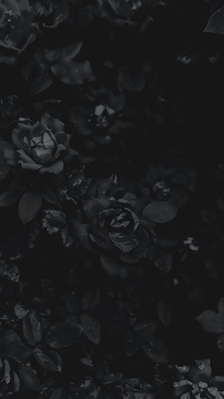 Grey Flowers Wallpapers - Wallpaper Cave
