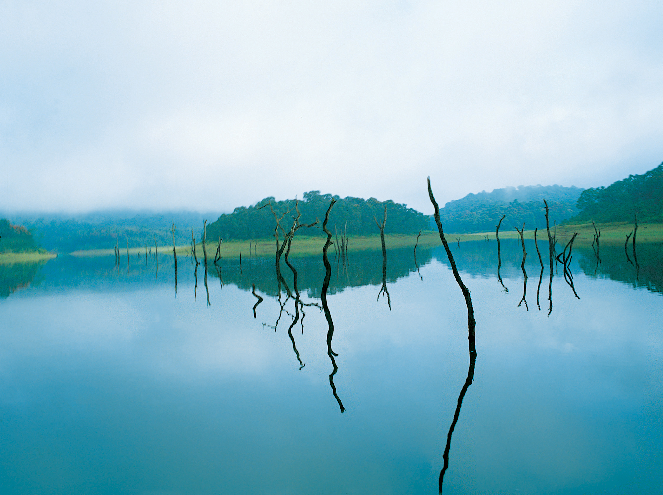 Thekkady Wallpapers - Wallpaper Cave