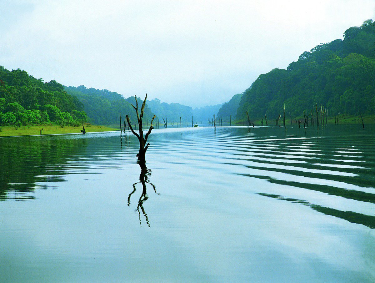 Thekkady Wallpapers - Wallpaper Cave
