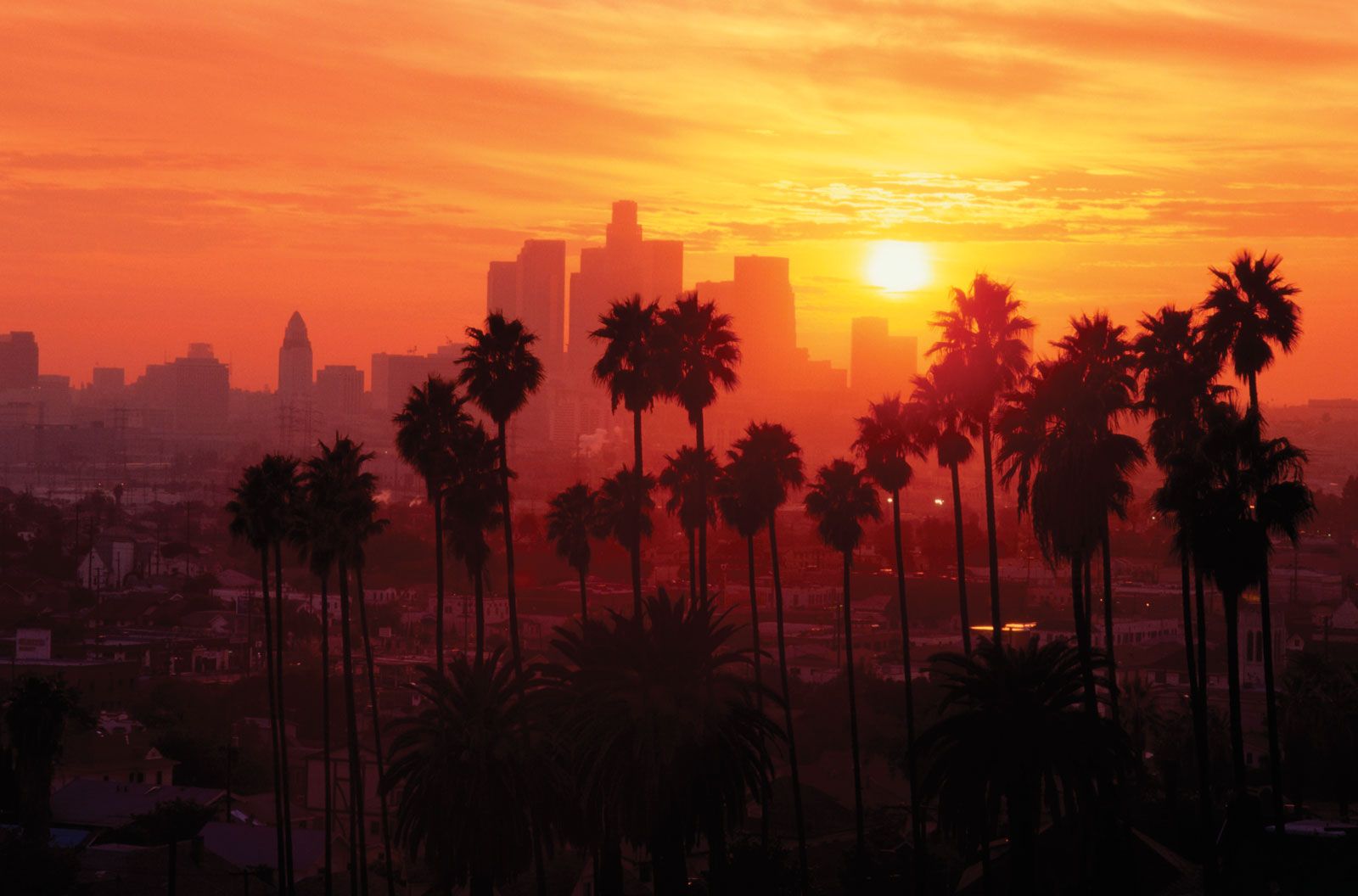 Summer Los Angeles Wallpapers - Wallpaper Cave