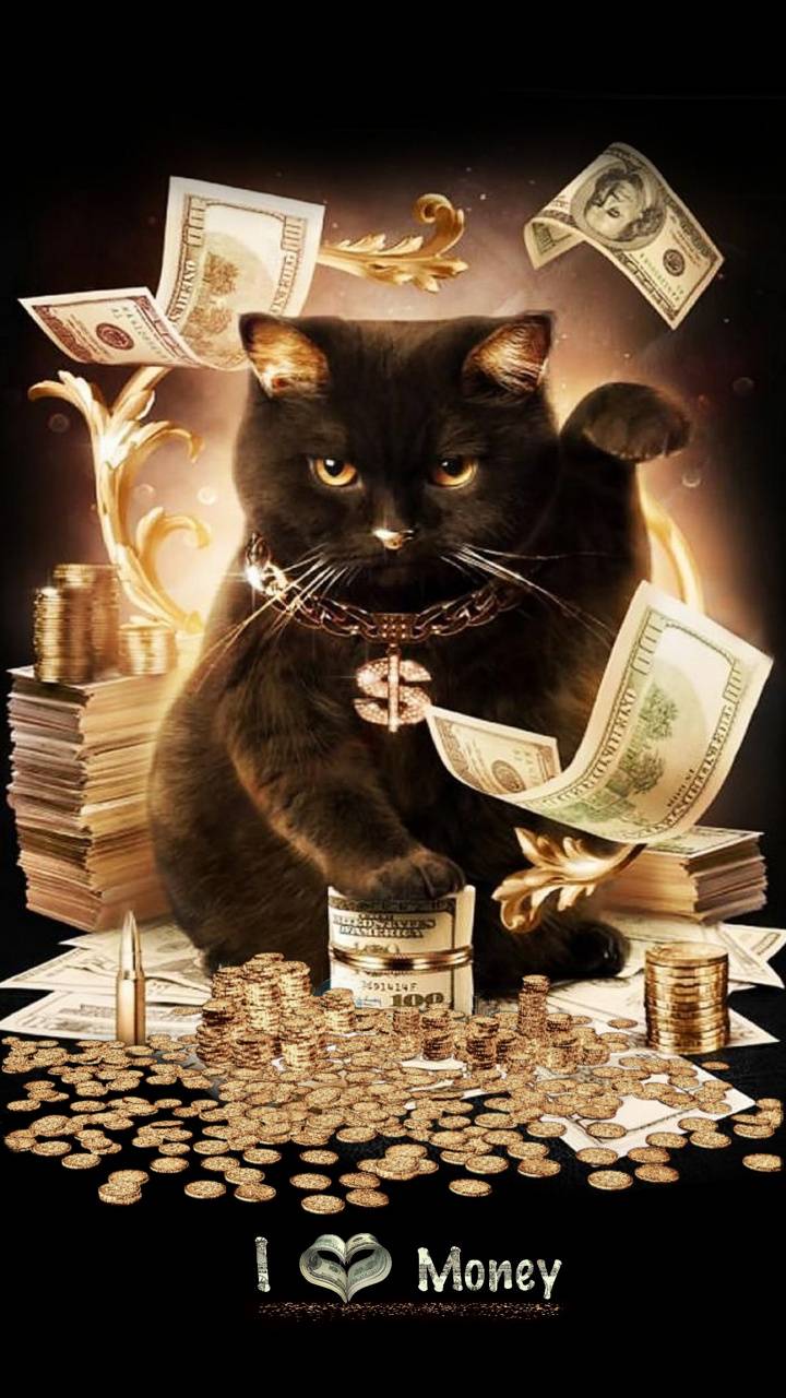 Money Cat Wallpapers - Wallpaper Cave
