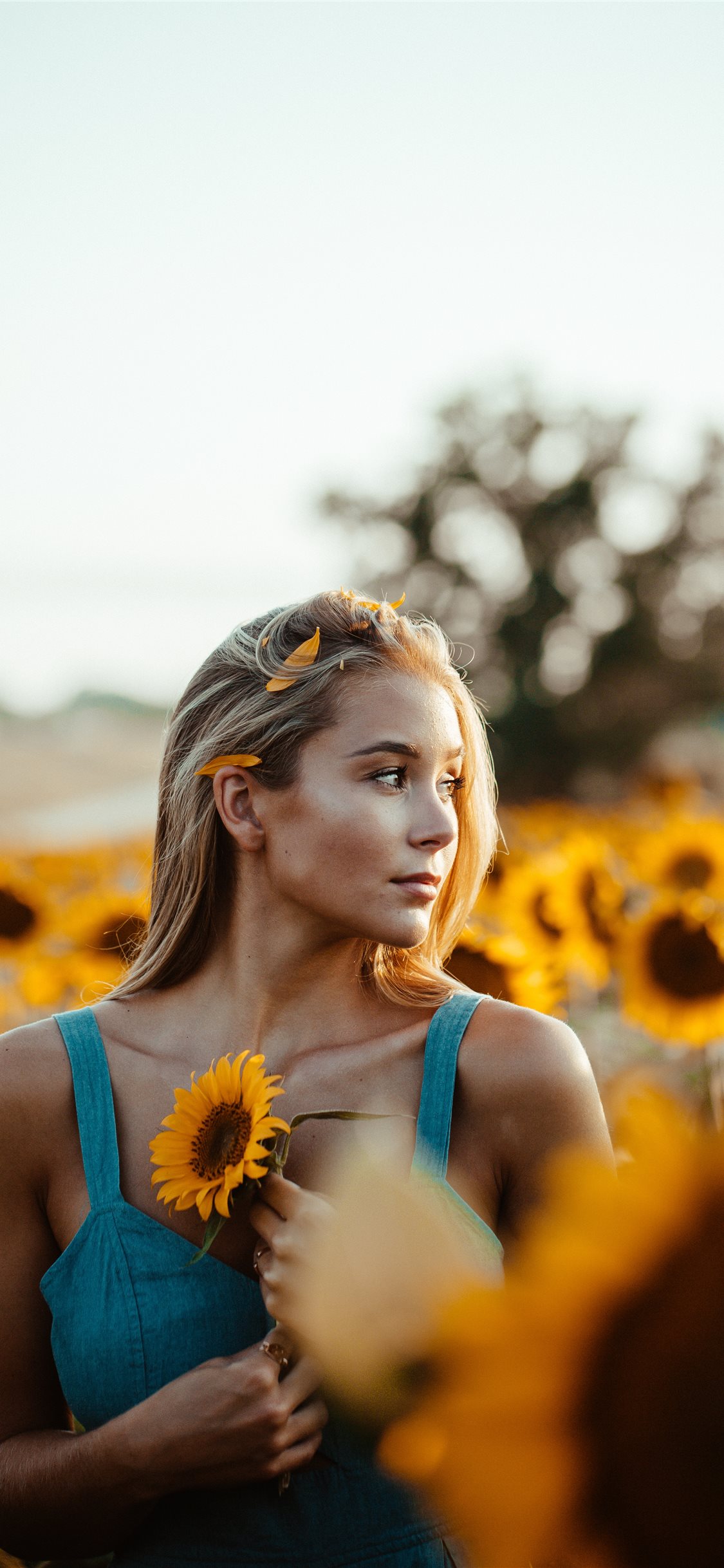 Lifetime Wallpapers - Wallpaper Cave