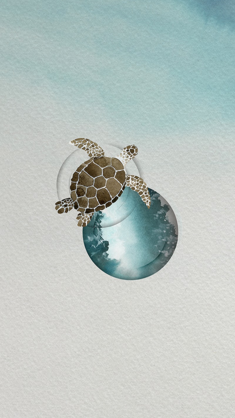 Turtle Art Wallpapers - Wallpaper Cave