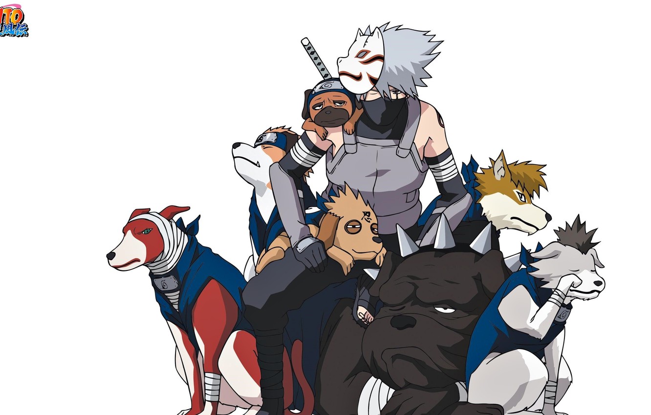 Naruto Dogs Wallpapers - Wallpaper Cave