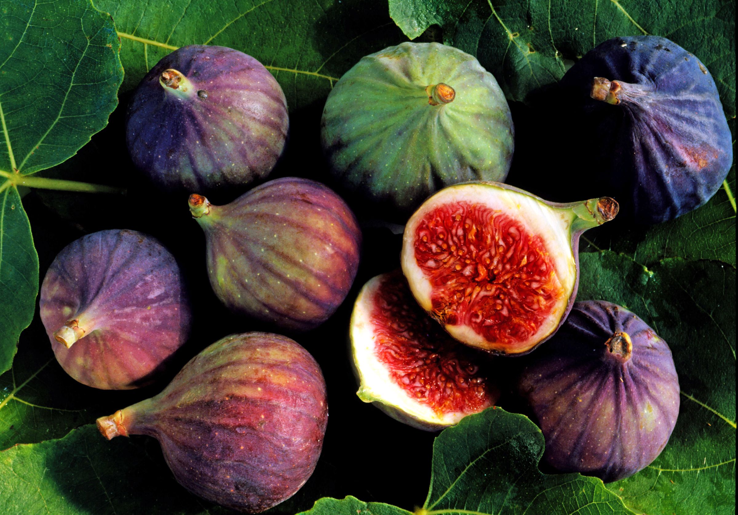 Fig Fruit Wallpapers - Wallpaper Cave