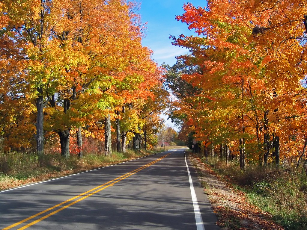 Fall Splendor Wallpapers - Wallpaper Cave