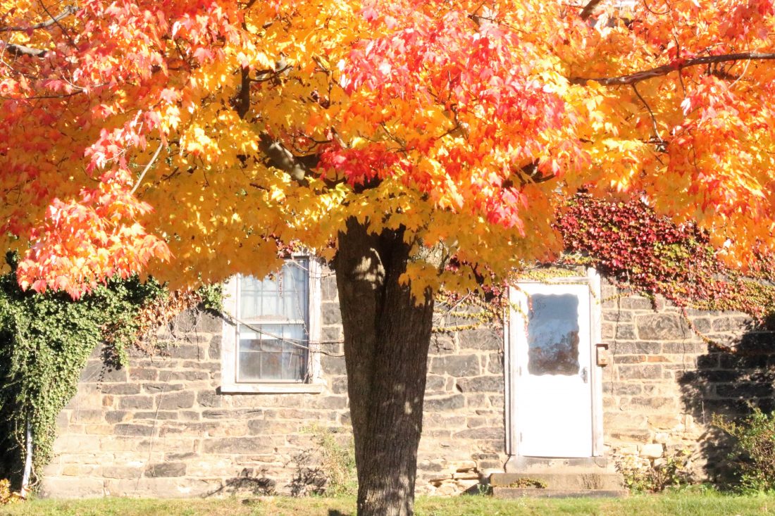 Fall Splendor Wallpapers - Wallpaper Cave