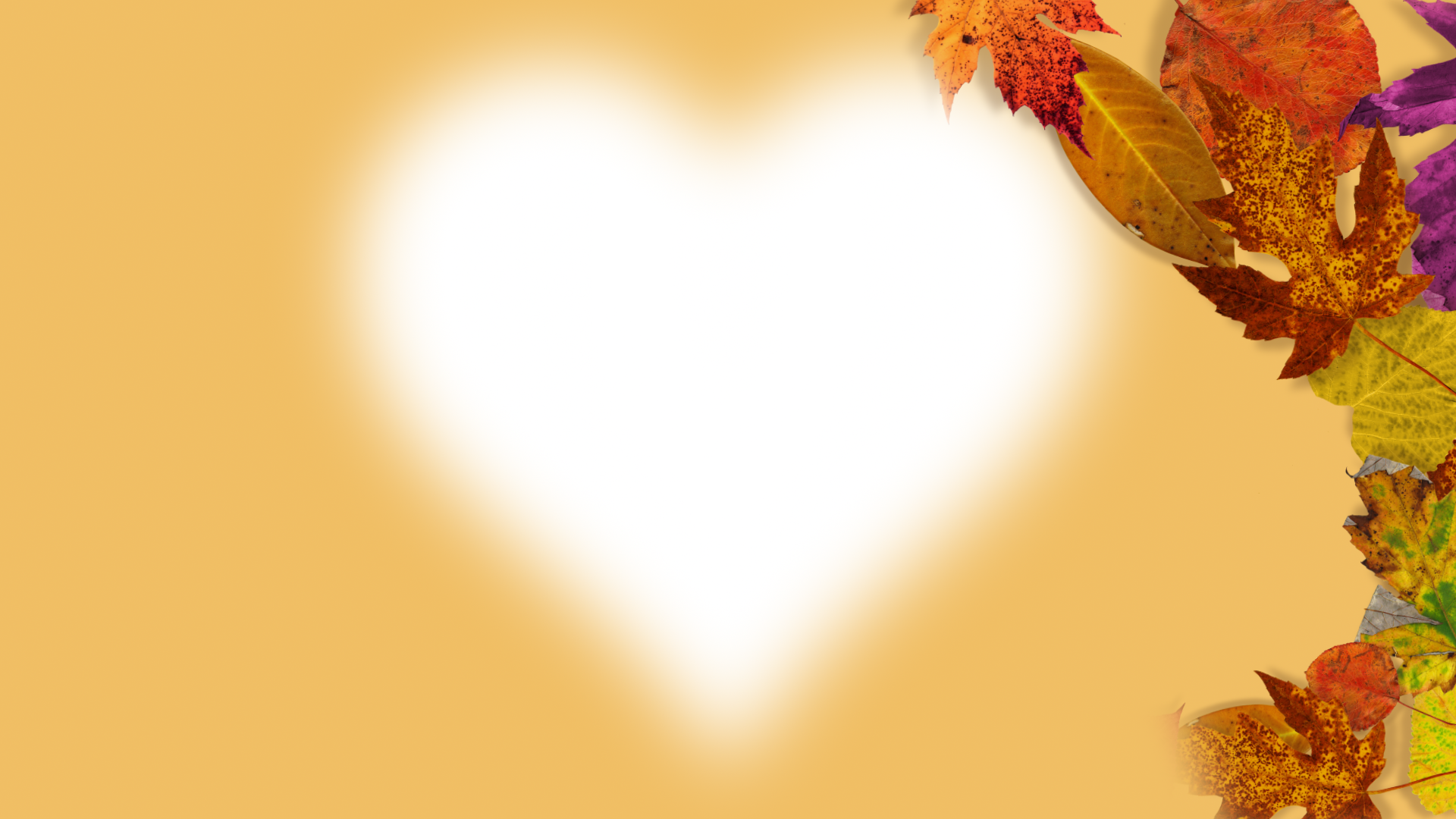 Fall Splendor Wallpapers - Wallpaper Cave