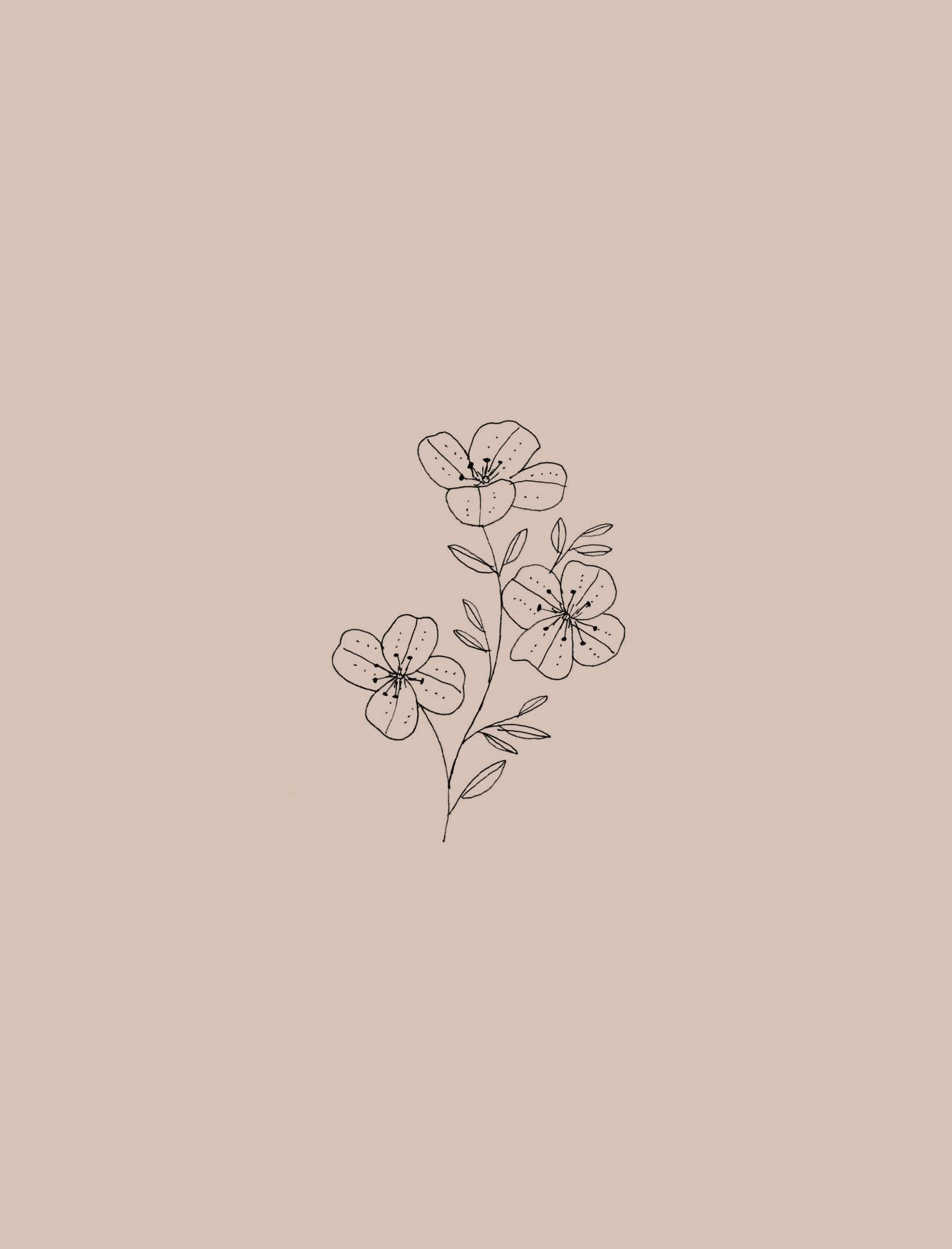 Flower Sketch Wallpapers - Wallpaper Cave