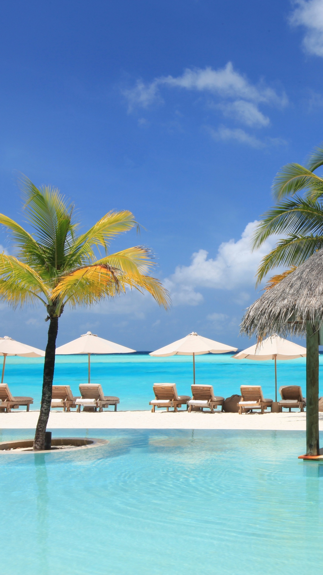 Palm Shade Wallpapers - Wallpaper Cave