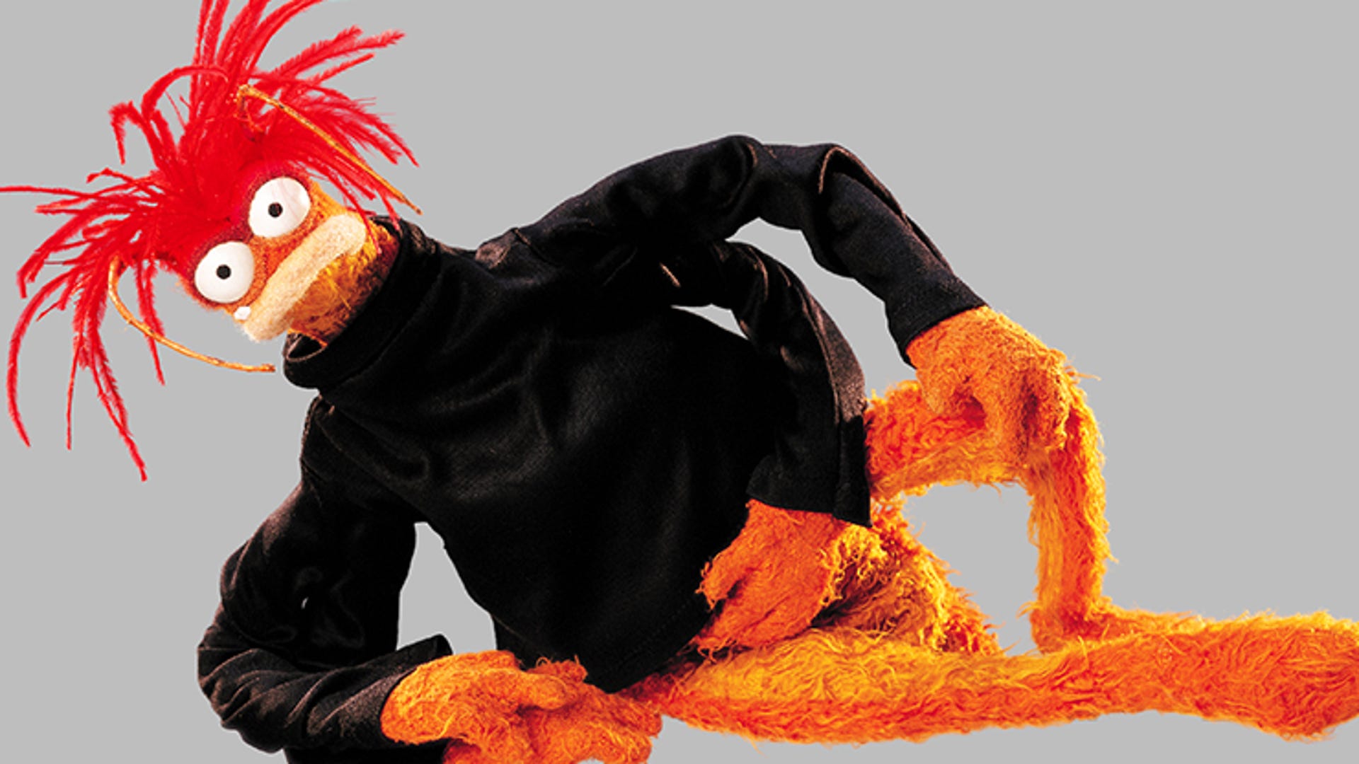 Muppets Pepe Wallpapers Wallpaper Cave Muppets Pepe Wallpapers Wallpaper Cave