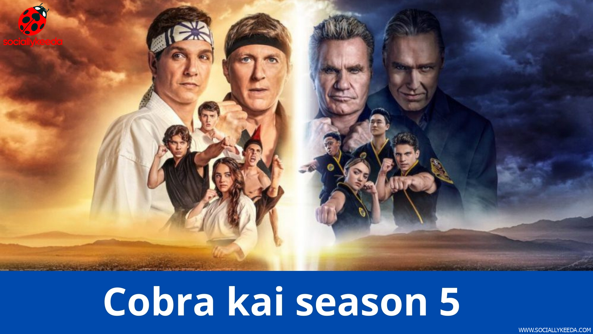 Cobra Kai Season 5 Wallpapers - Wallpaper Cave