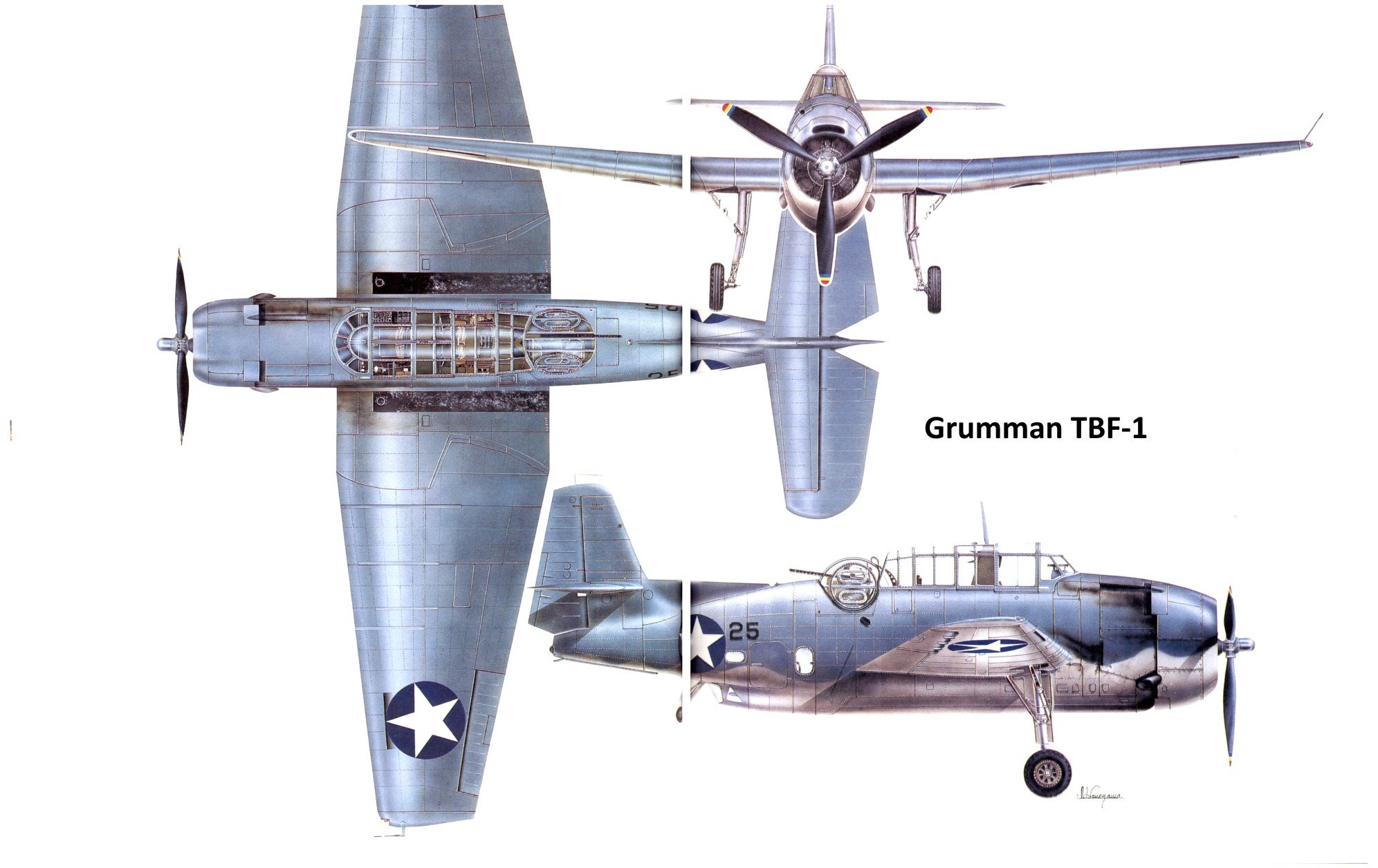 Grumman Tbf Avenger Wallpapers Wallpaper Cave