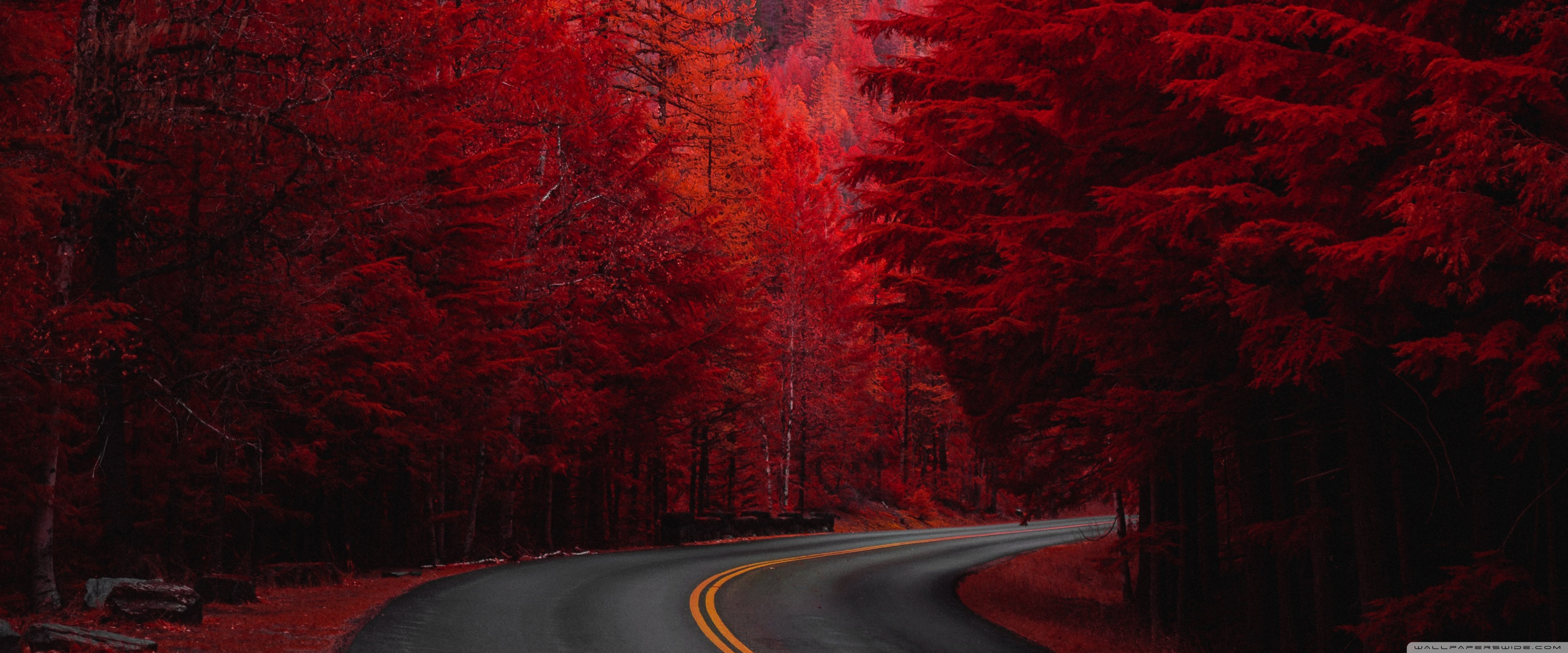 Aesthetic Fall Landscape Wallpapers - Wallpaper Cave