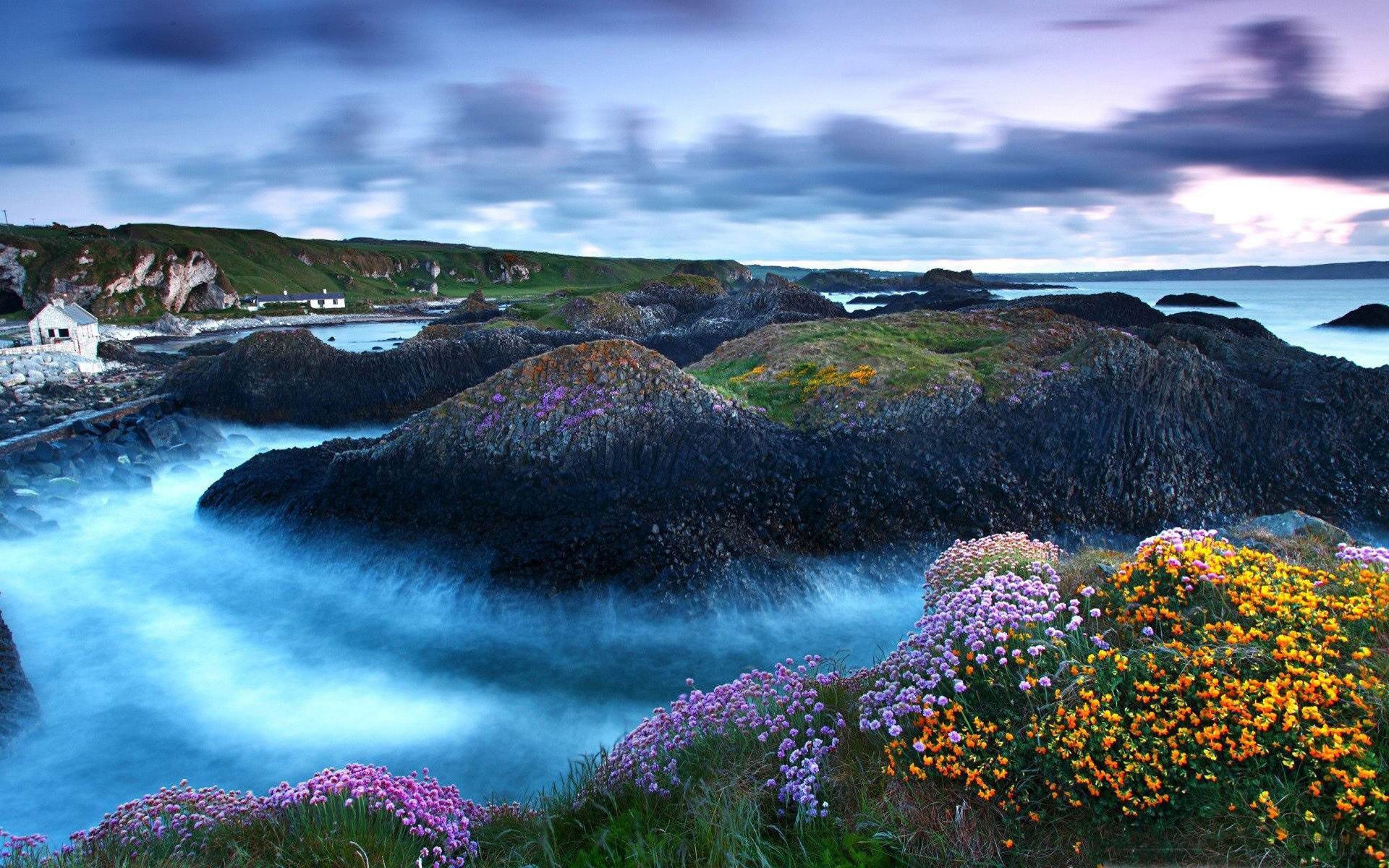 Early Morning Summer Wallpapers - Wallpaper Cave