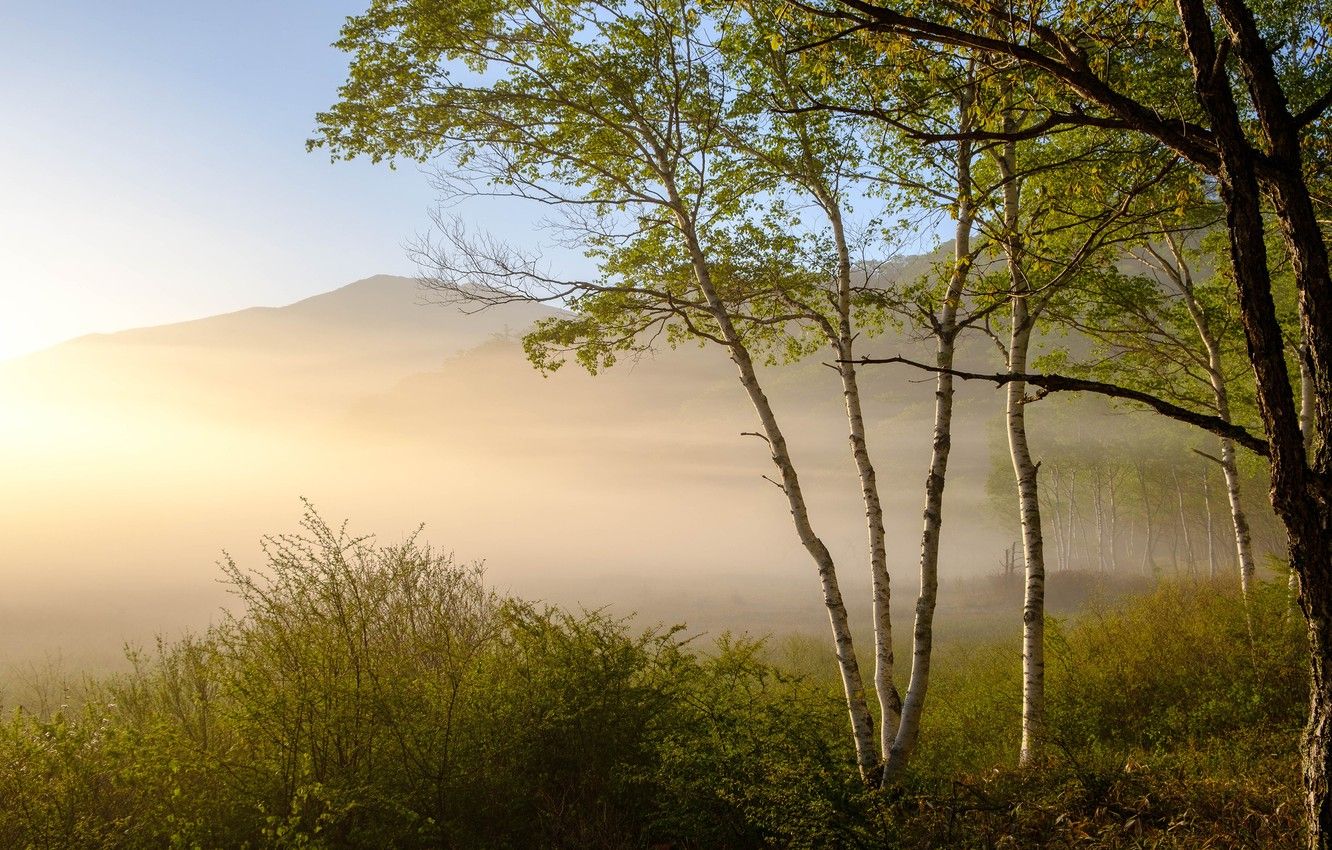 Early Morning Summer Wallpapers - Wallpaper Cave