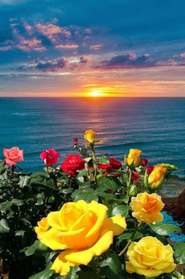 Good View Wallpapers - Wallpaper Cave