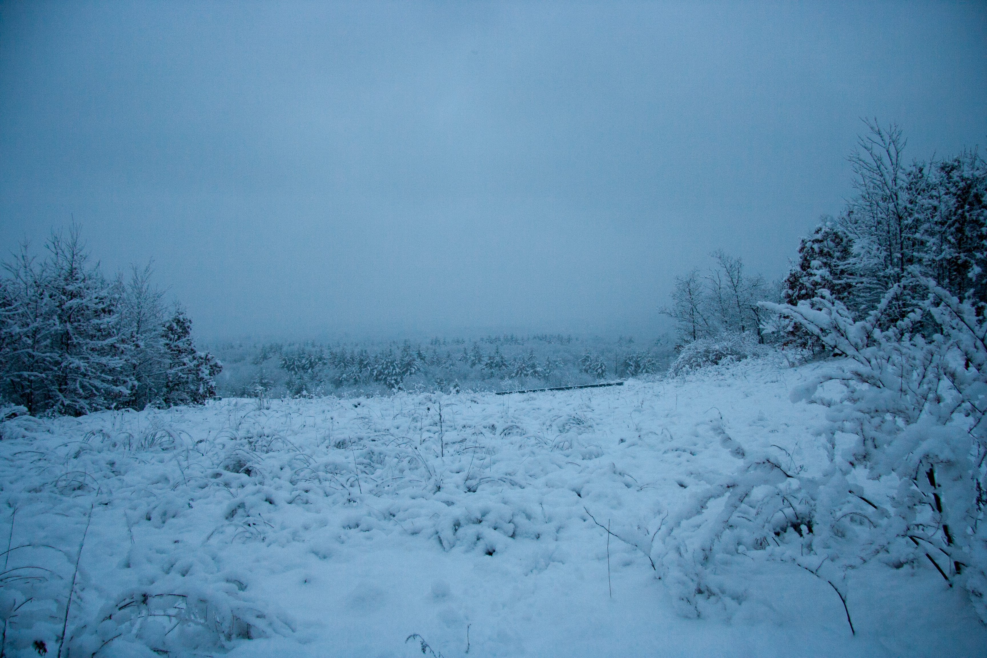 Midday Wallpapers - Wallpaper Cave