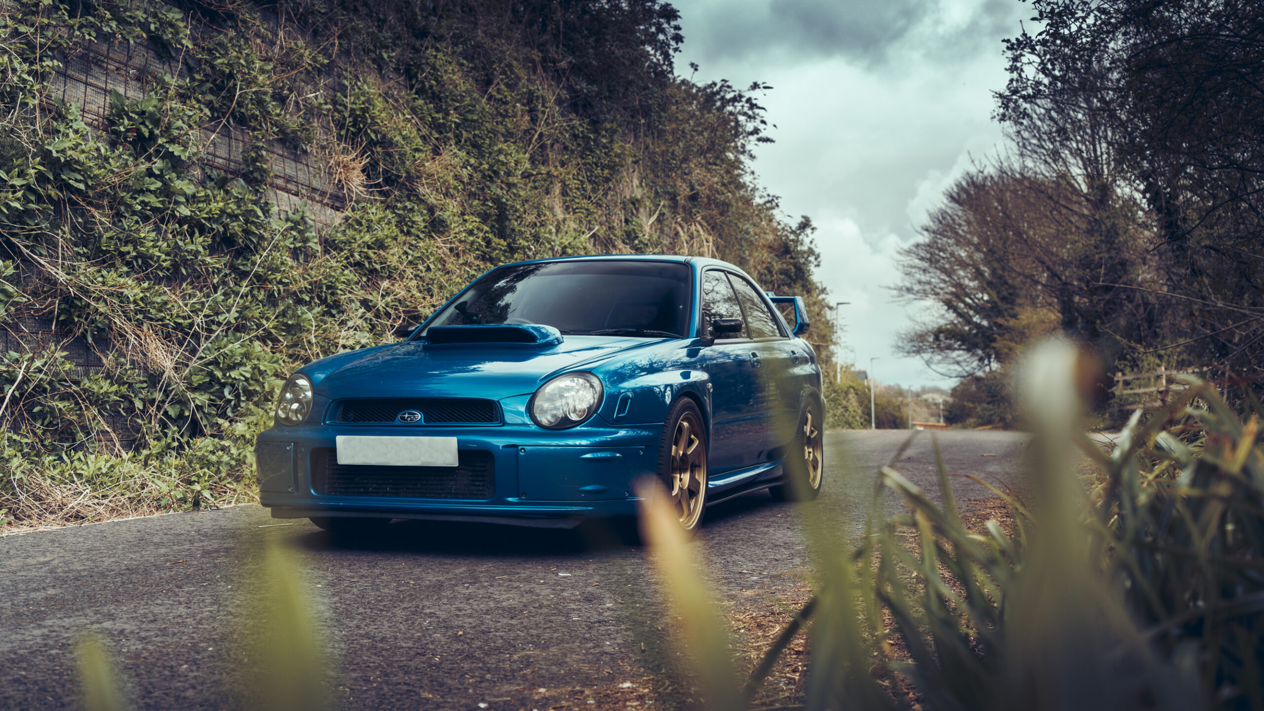 Bugeye Wallpapers - Wallpaper Cave