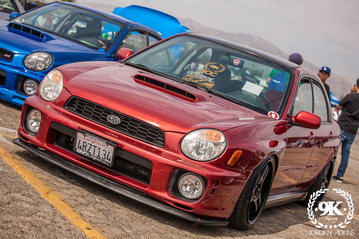 Bugeye Wallpapers - Wallpaper Cave