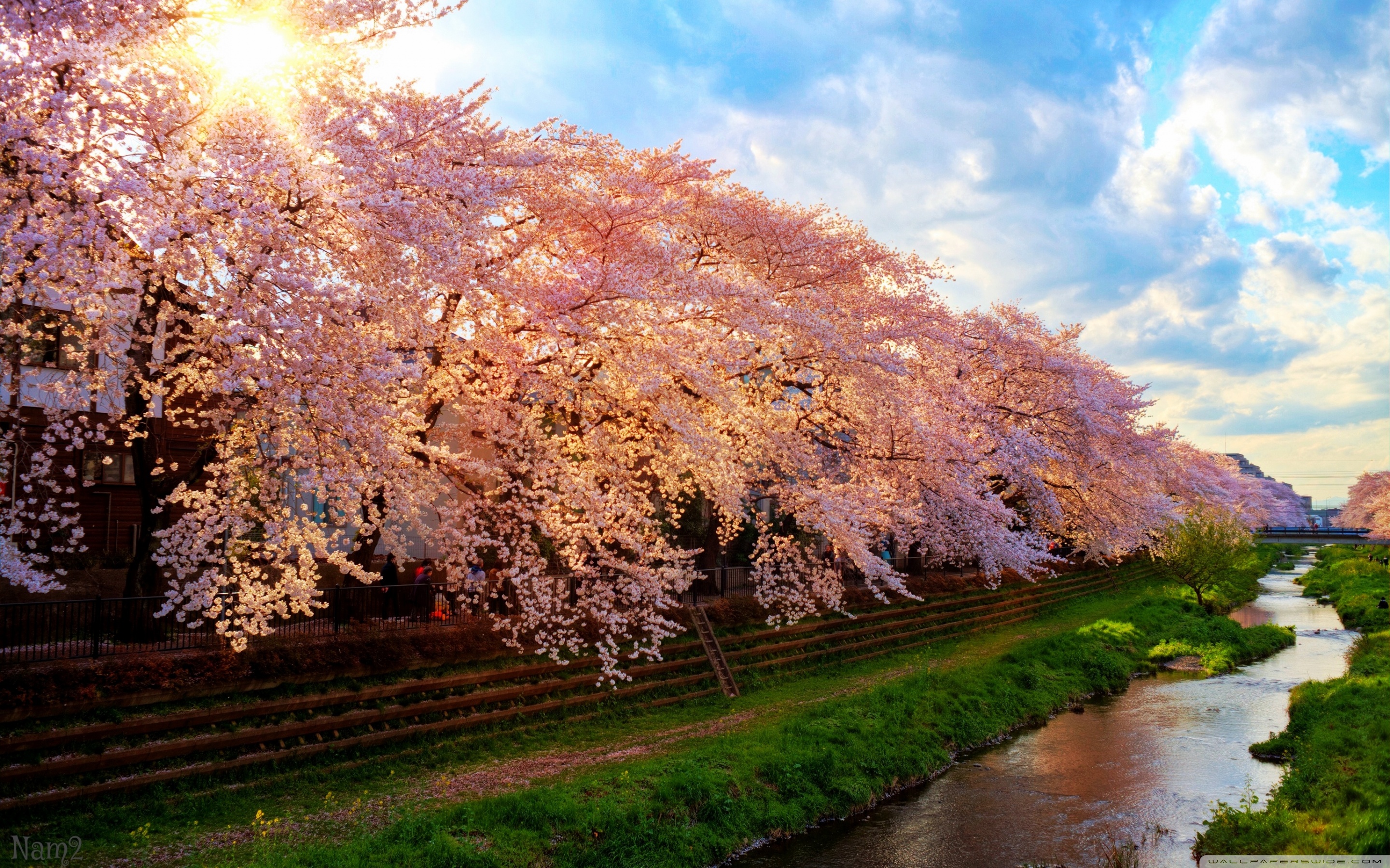 Spring Season Japan Wallpapers - Wallpaper Cave