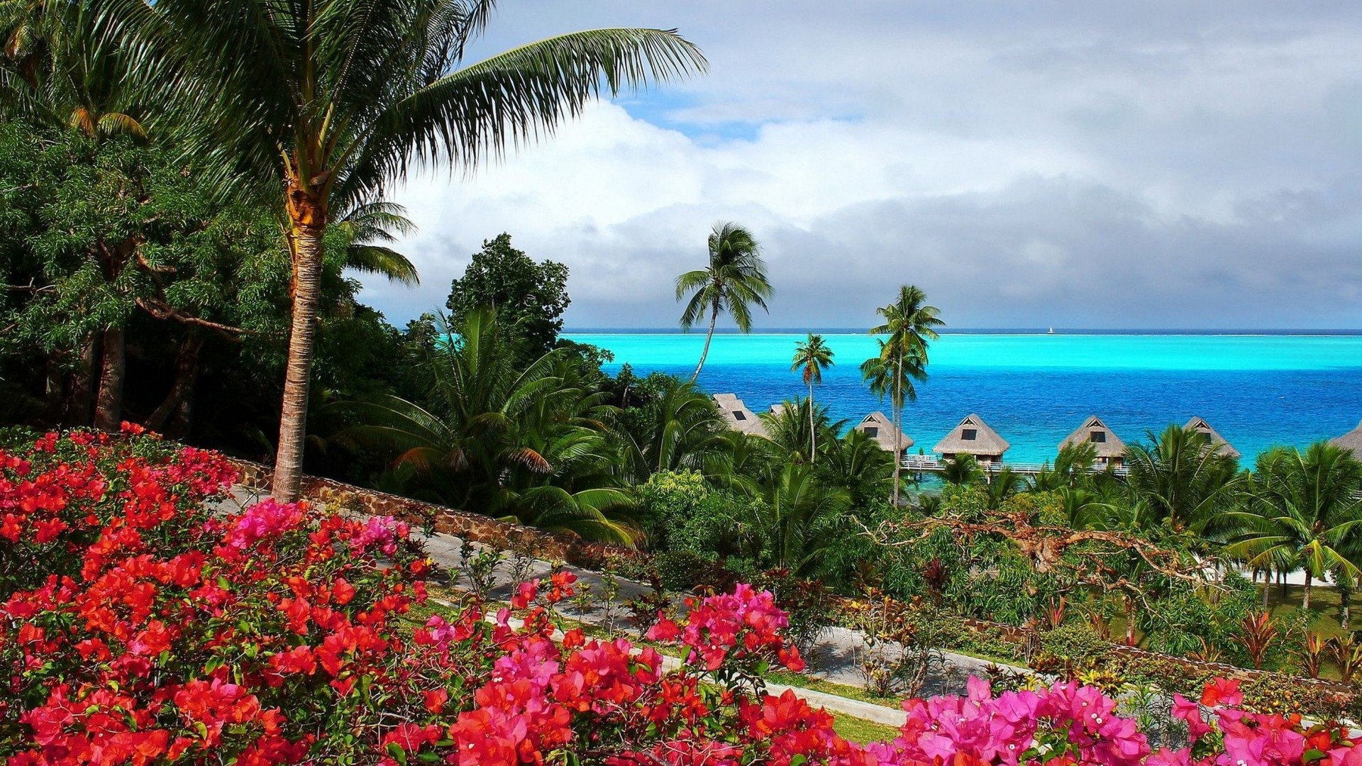 Colourful Summer Wallpapers - Wallpaper Cave