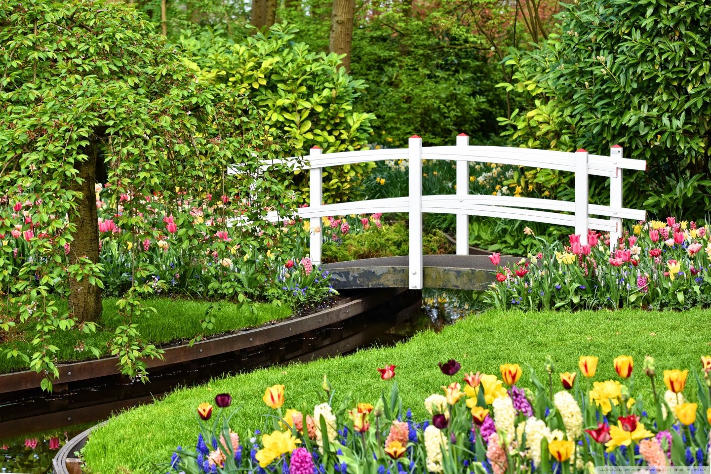 Spring Yard Wallpapers - Wallpaper Cave