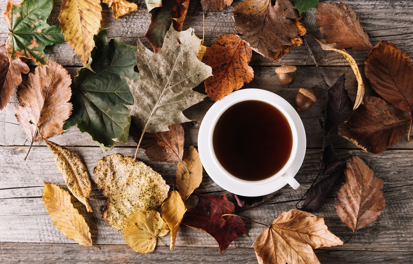 Autumn Leaves And Coffee Wallpapers - Wallpaper Cave