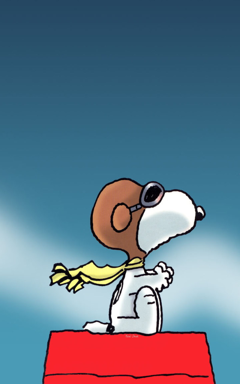 Snoopy Dog Wallpapers - Wallpaper Cave