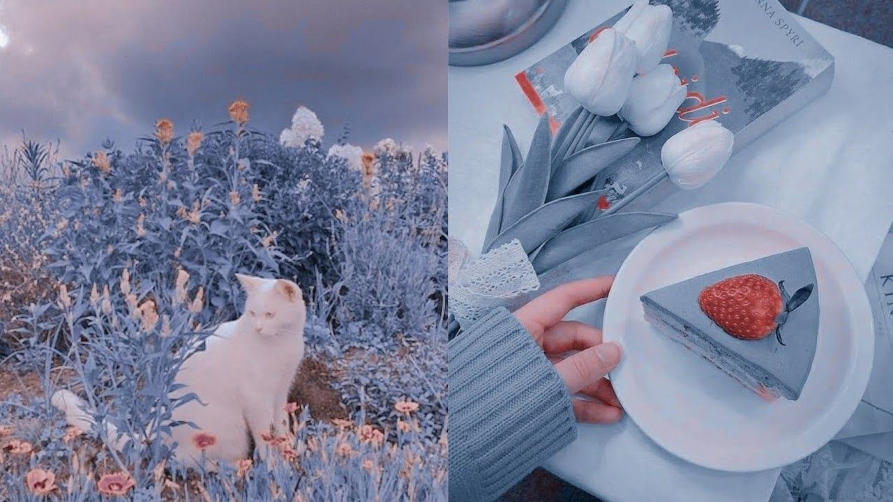 Glaucous Blue Wallpapers - Wallpaper Cave