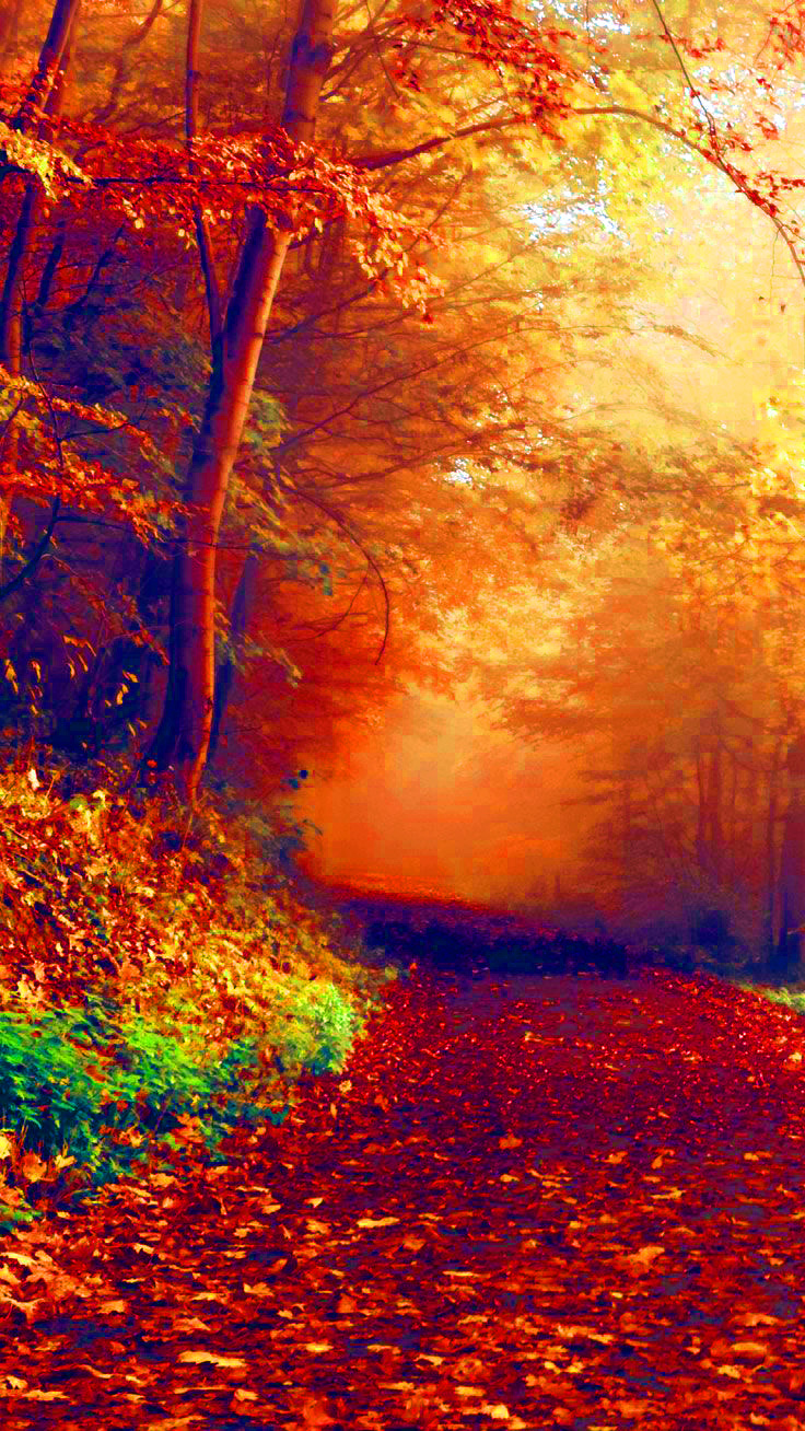 Fall Preppy Wallpapers - Wallpaper Cave