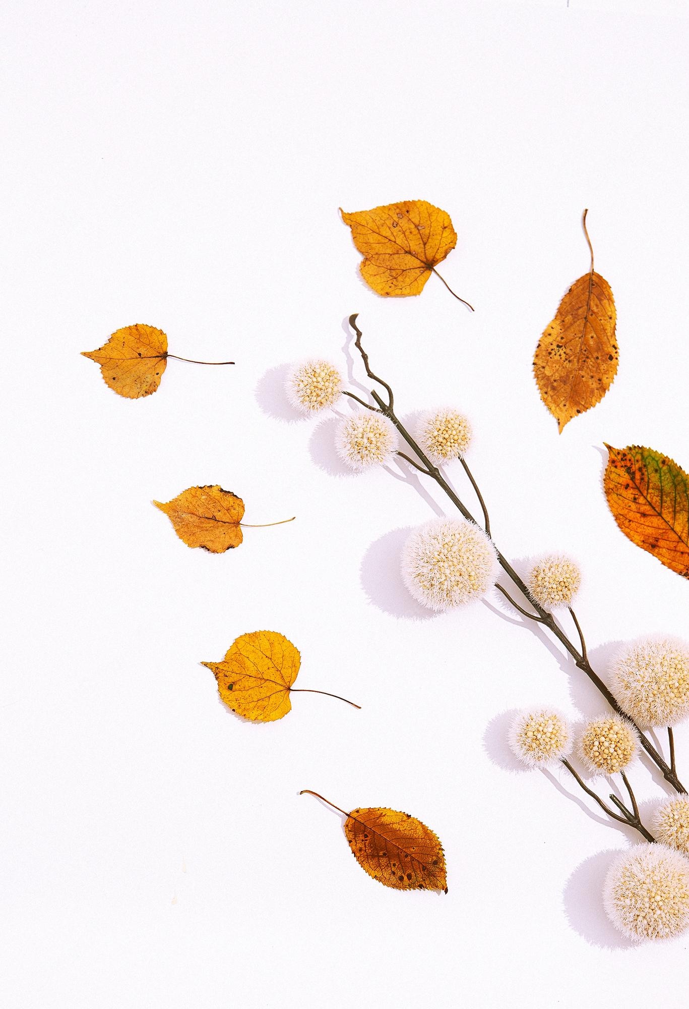 Autumn Winter Minimal Wallpapers - Wallpaper Cave