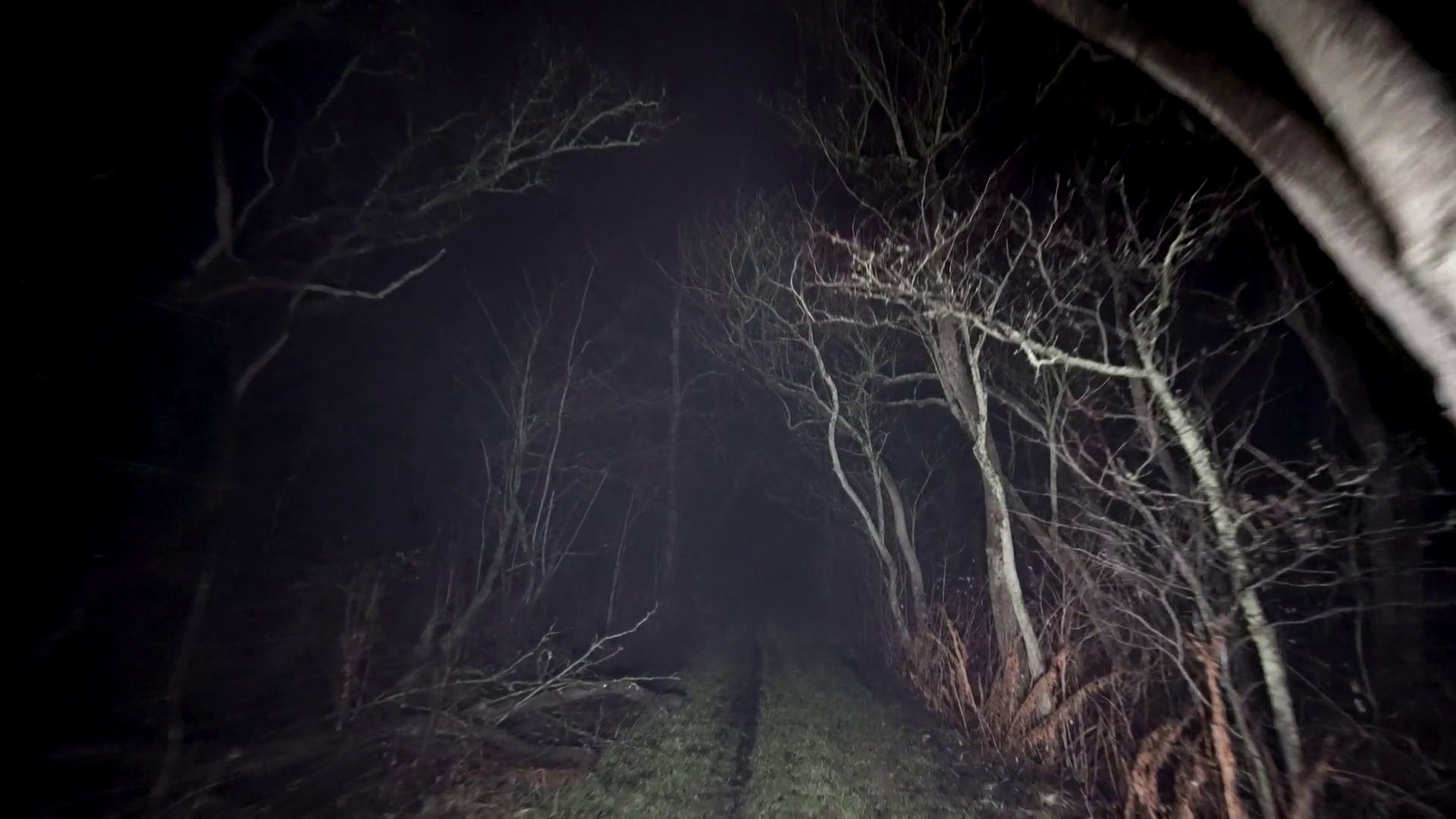 Spooky Walk Wallpapers - Wallpaper Cave