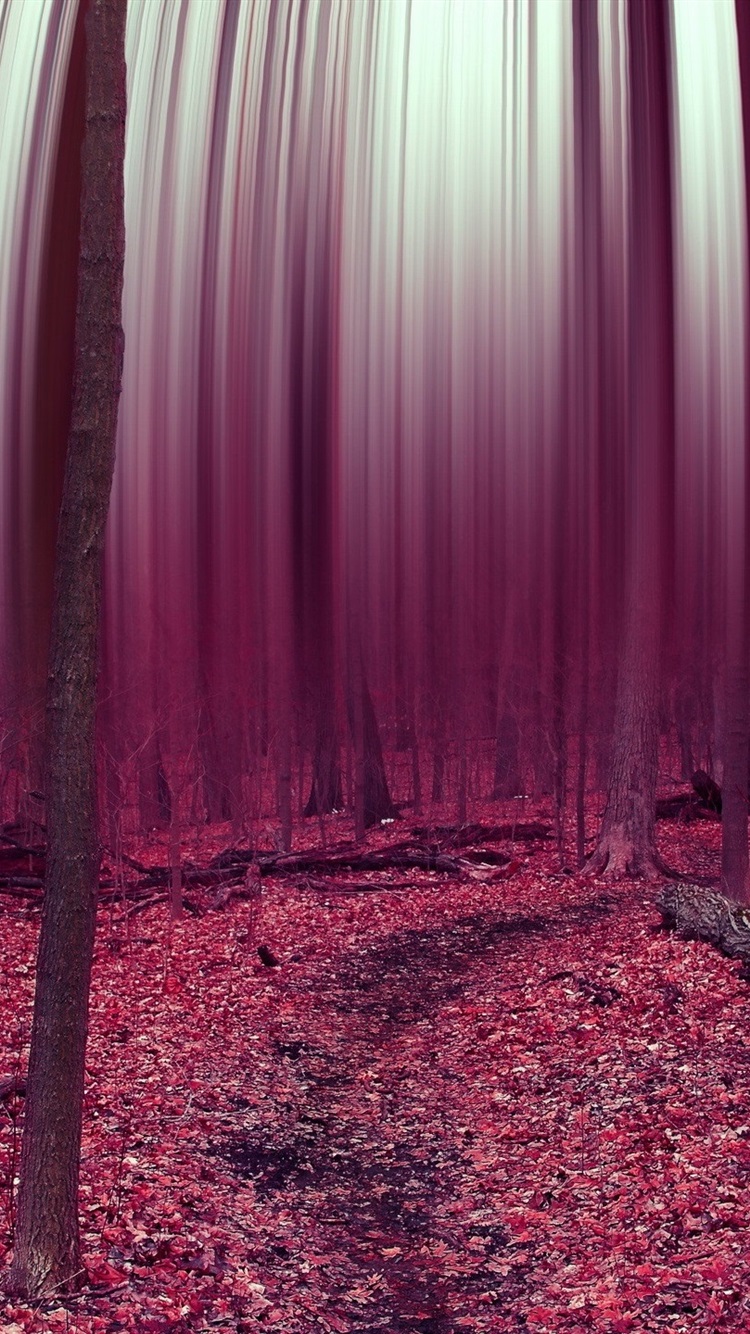 Violet Autumn Wallpapers - Wallpaper Cave