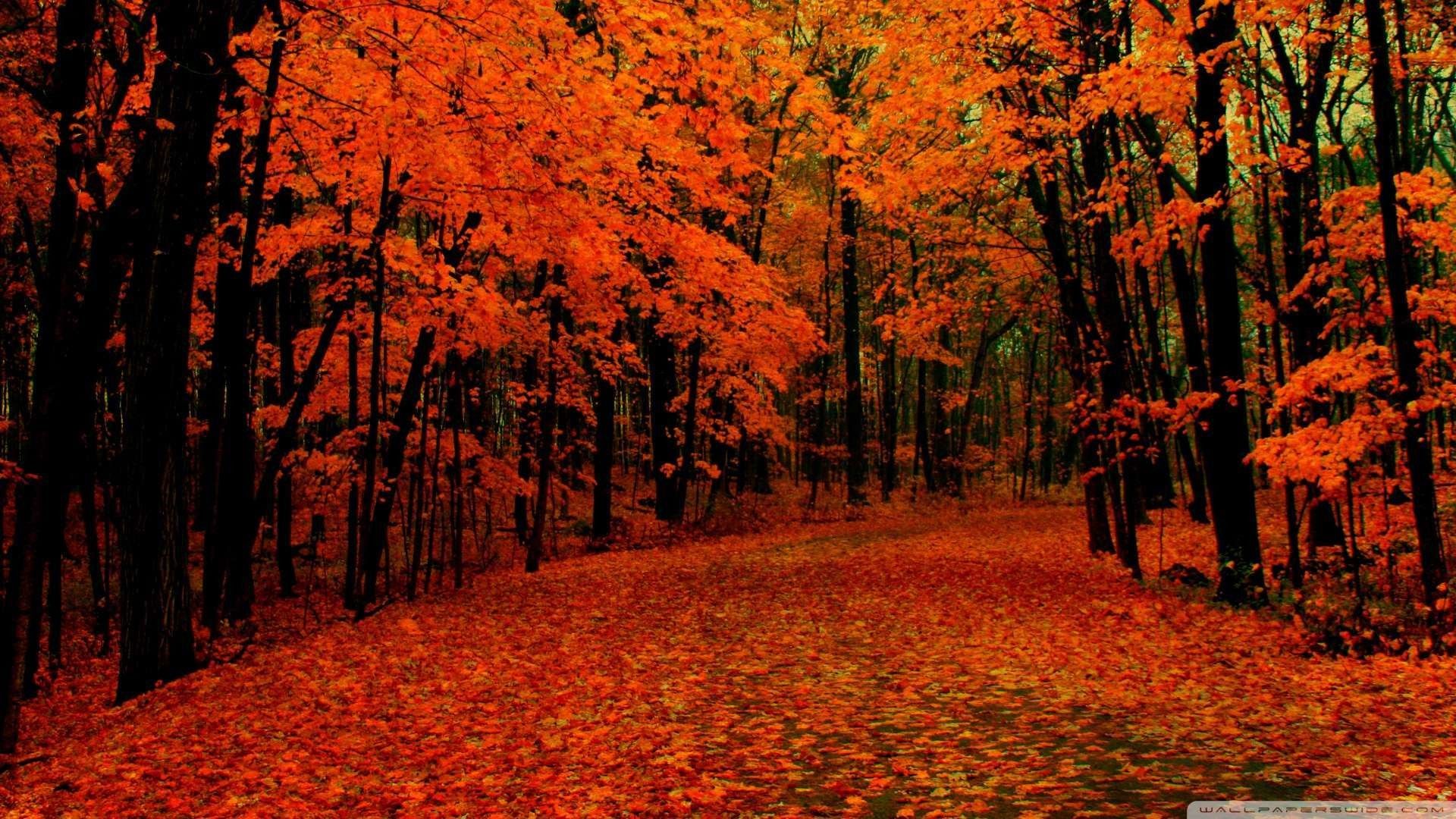 1920x1080 Cozy Autumn Wallpapers - Wallpaper Cave
