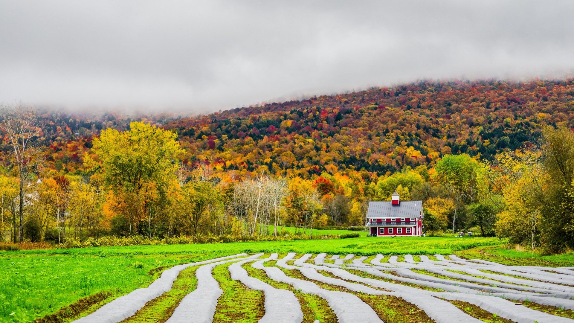 Autumn Farmland Wallpapers - Wallpaper Cave