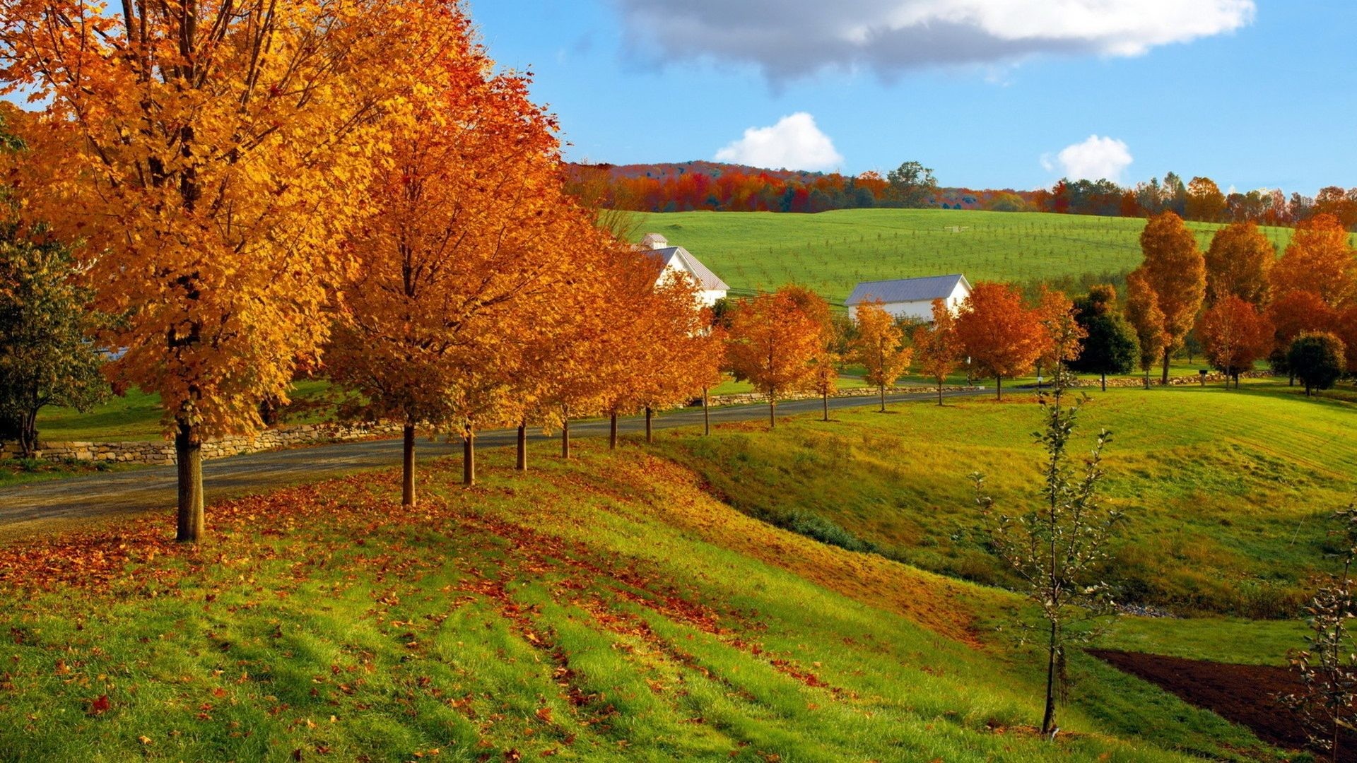 Autumn Farmland Wallpapers - Wallpaper Cave