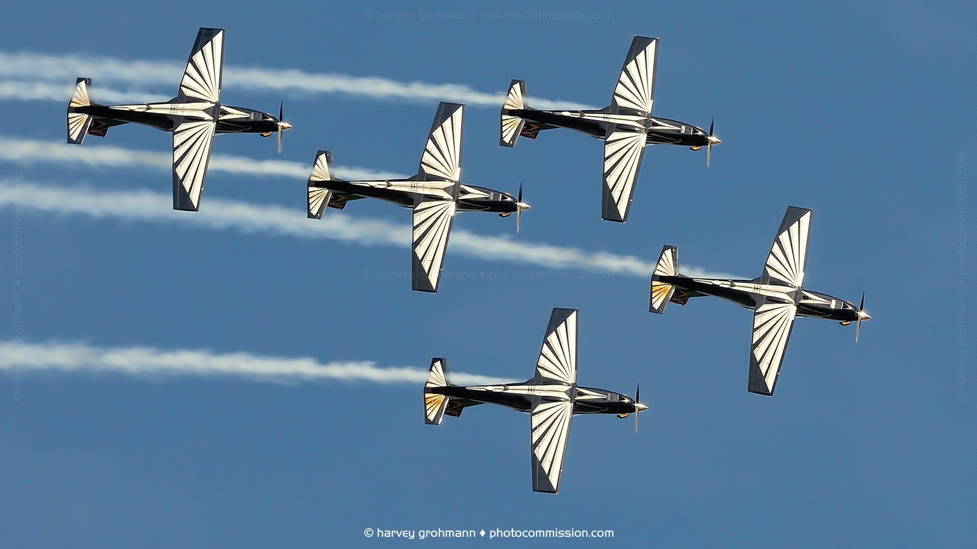 Silver Falcons Wallpapers - Wallpaper Cave